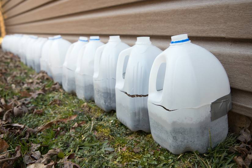 7 Creative Gardening Tips Using Things From Around Your House