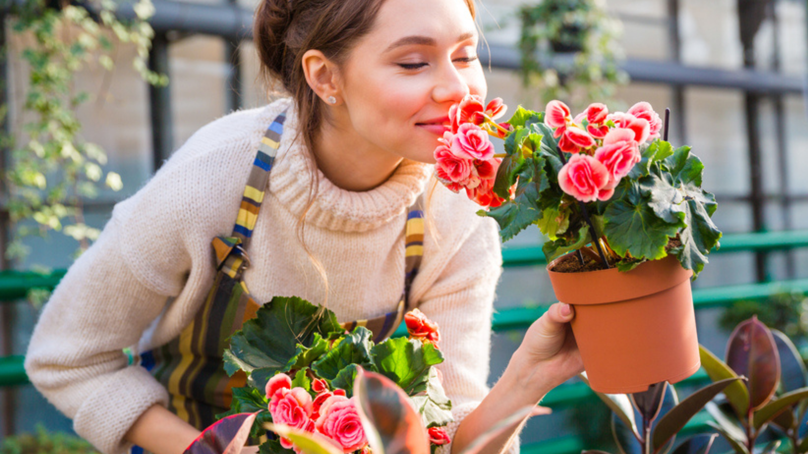 The 6 Best Smelling Indoor Plants To Add To Your Home