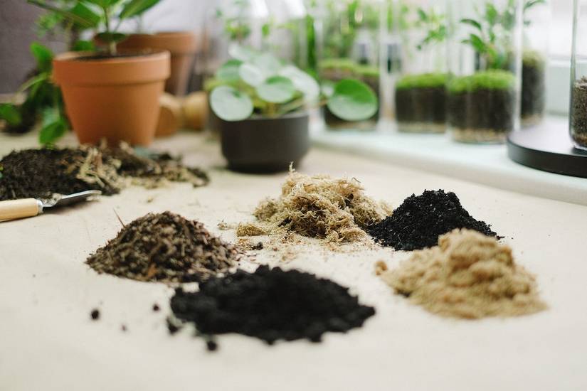 How to Prepare Your Garden Soil for Spring Planting