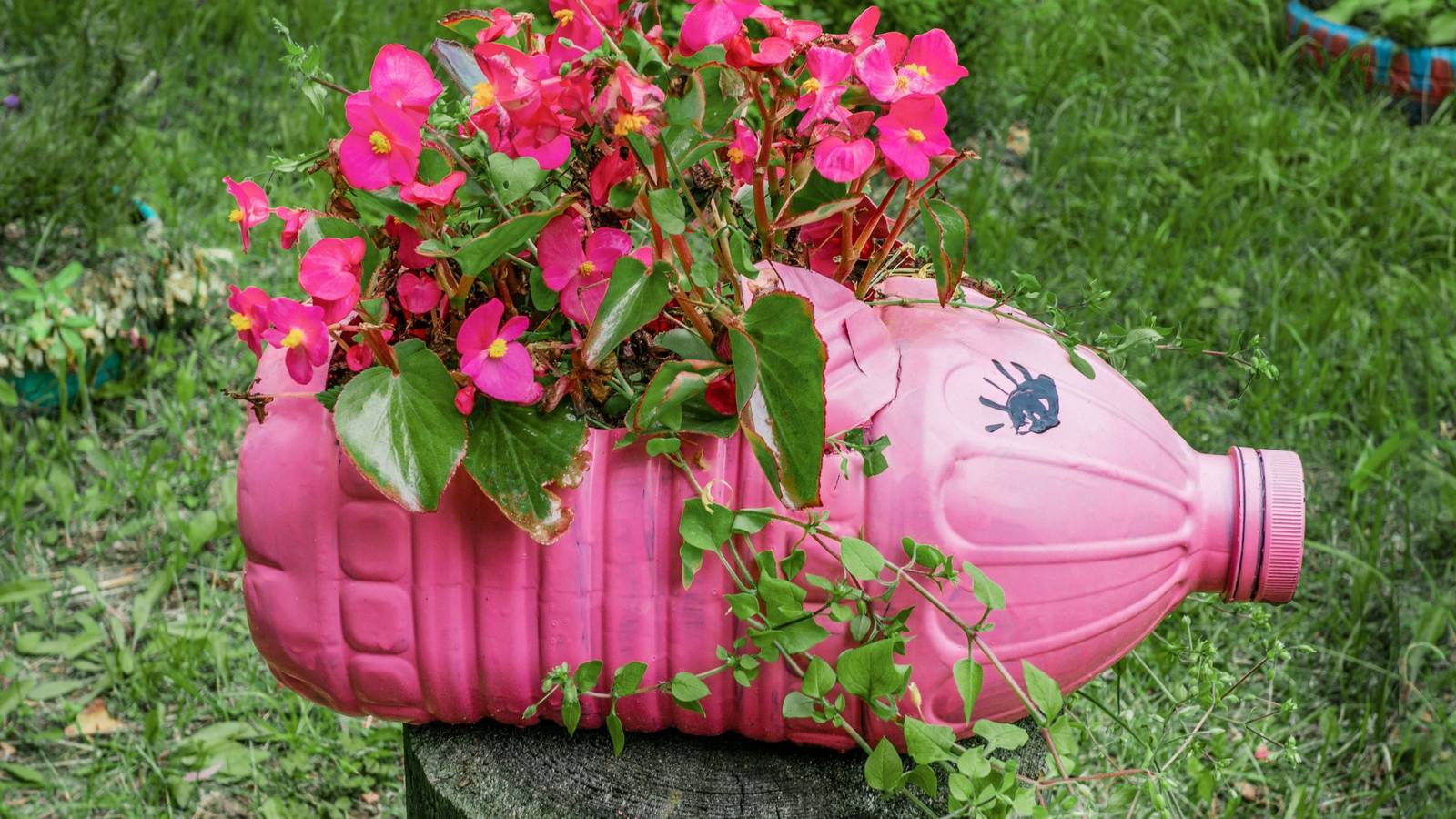 Are Plastic Containers Safe For Gardening?