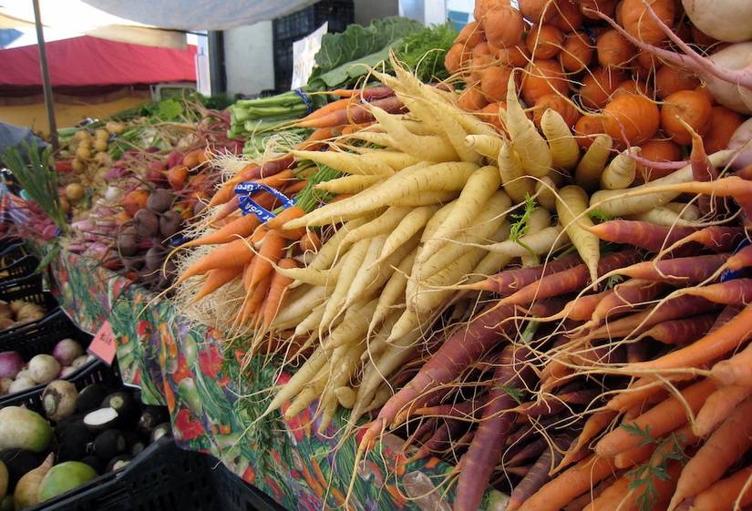 How To Grow Root Vegetables in Your Garden