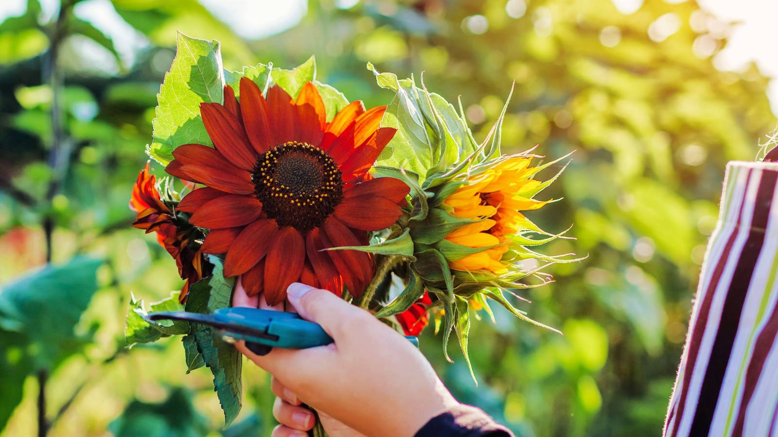 How to Gather Blooms the Right Way