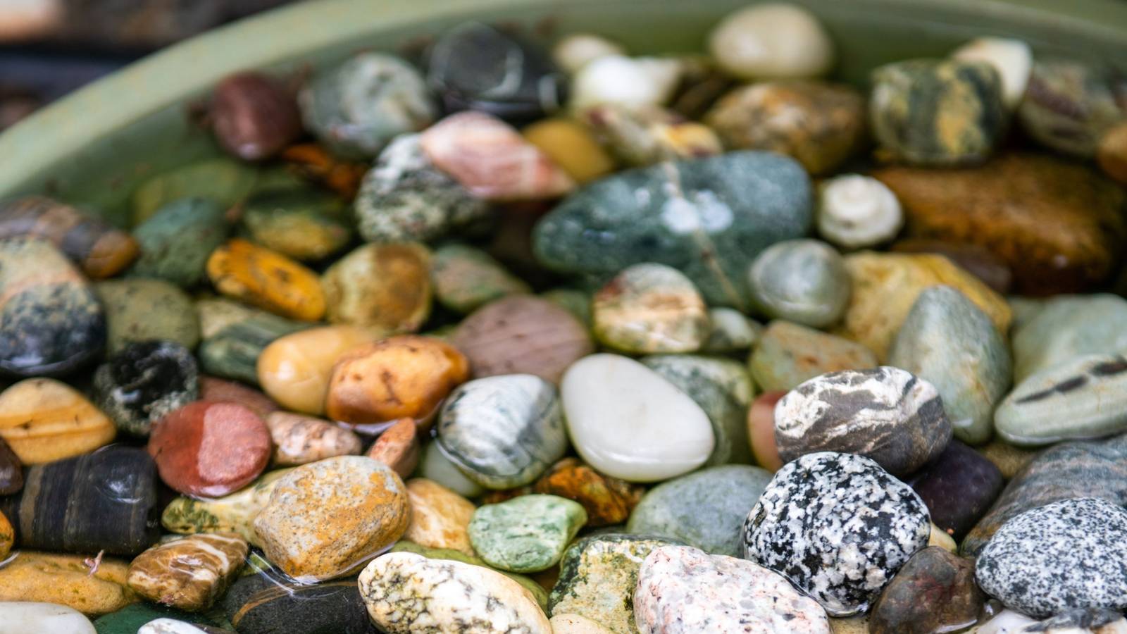 How To Increase Houseplant Humidity with a Pebble Tray