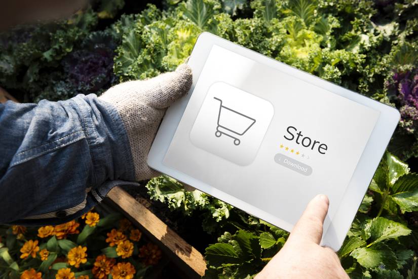 7 Places To Buy Vegetable and Flower Seeds Online