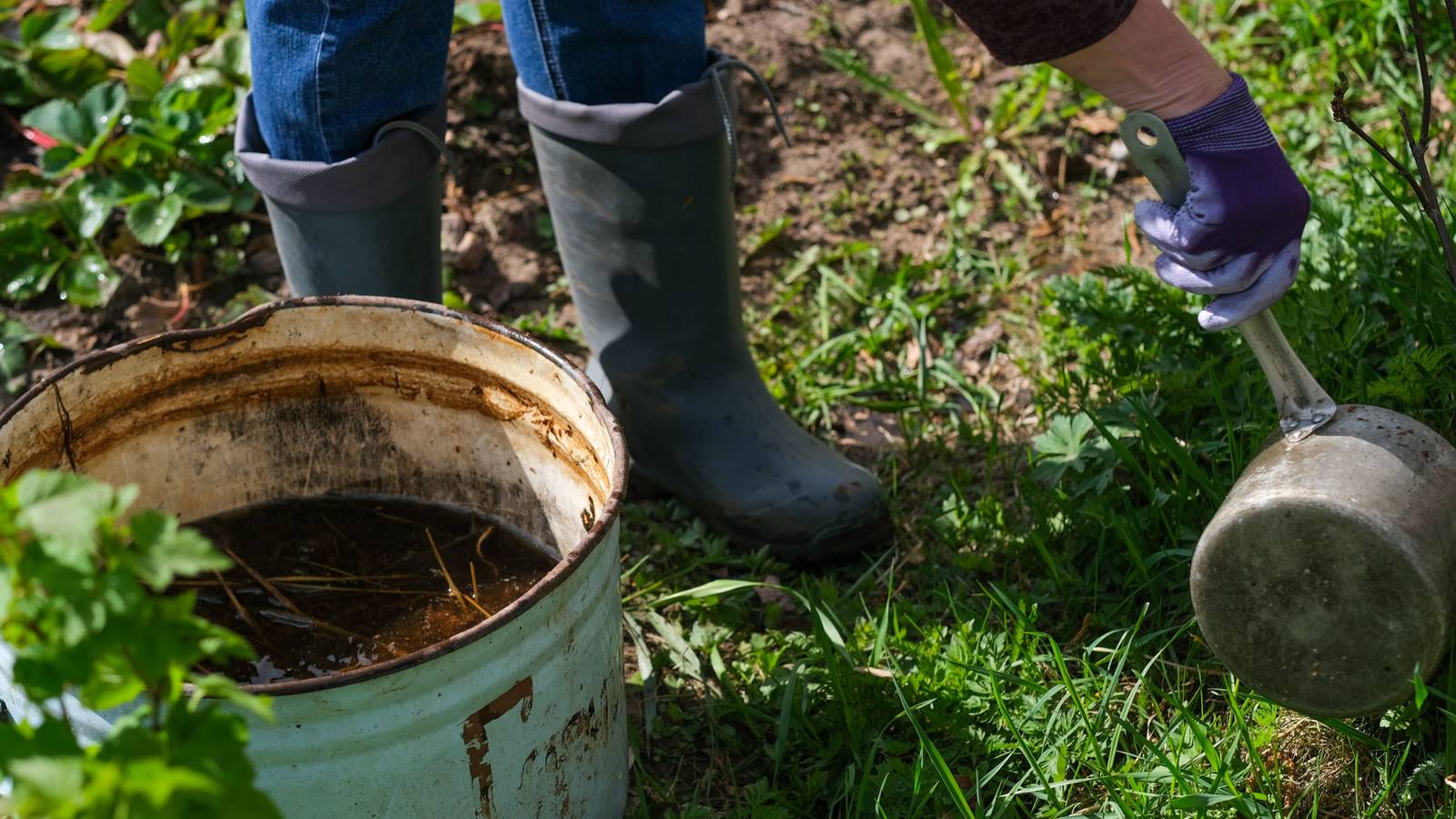 How to Make Compost Tea