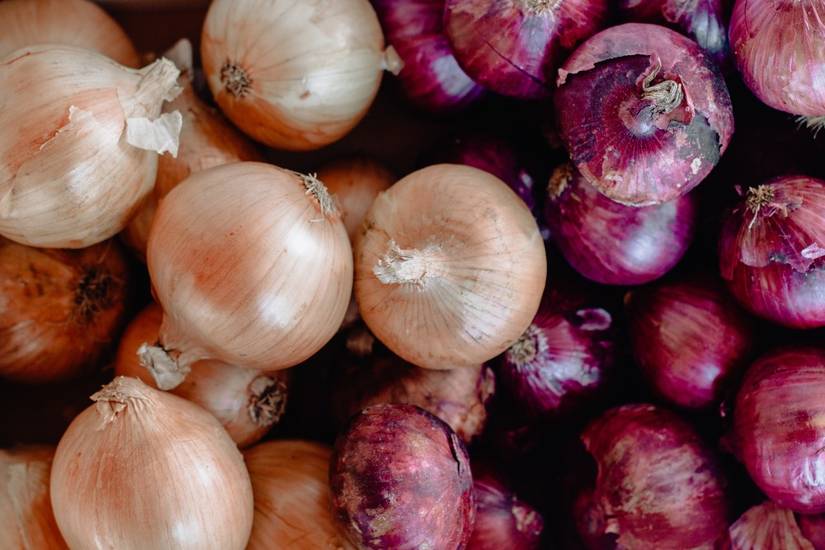 How to Grow Onions From Seed