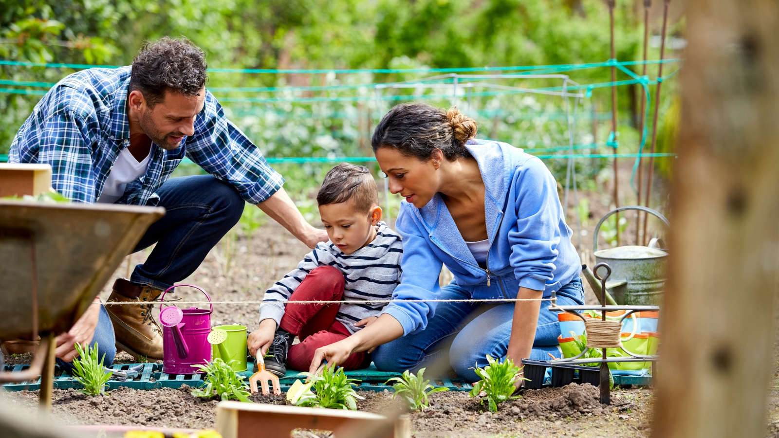 13 Tips for Planning the Perfect Backyard Garden
