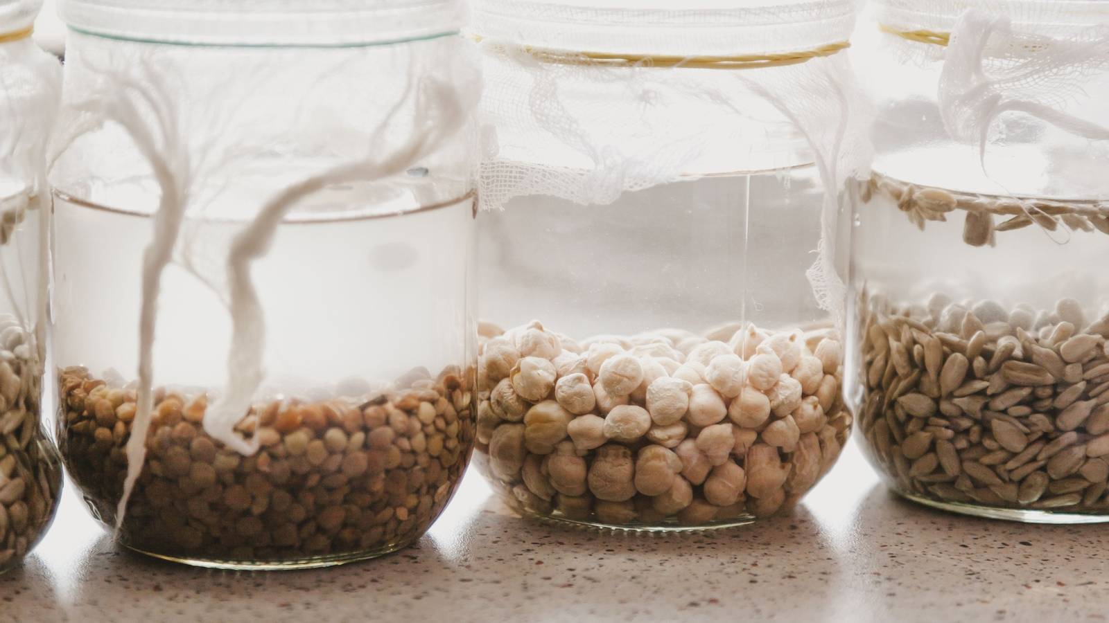 5 Tips for Soaking Seeds Before Planting