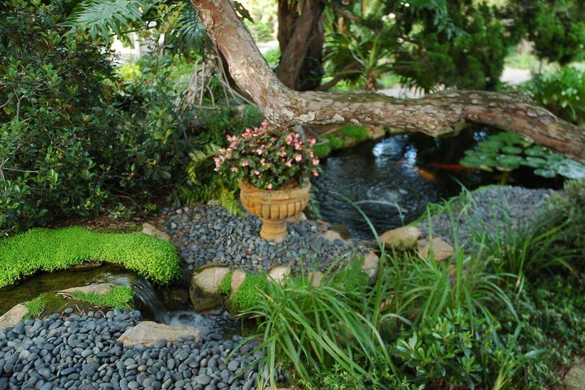 6 Water Feature Ideas for Your Garden