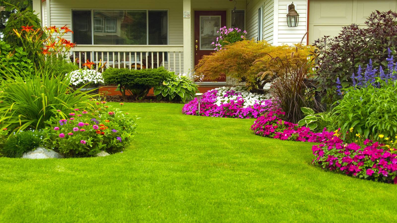 How to Choose the Best Grass Type for Your Lawn