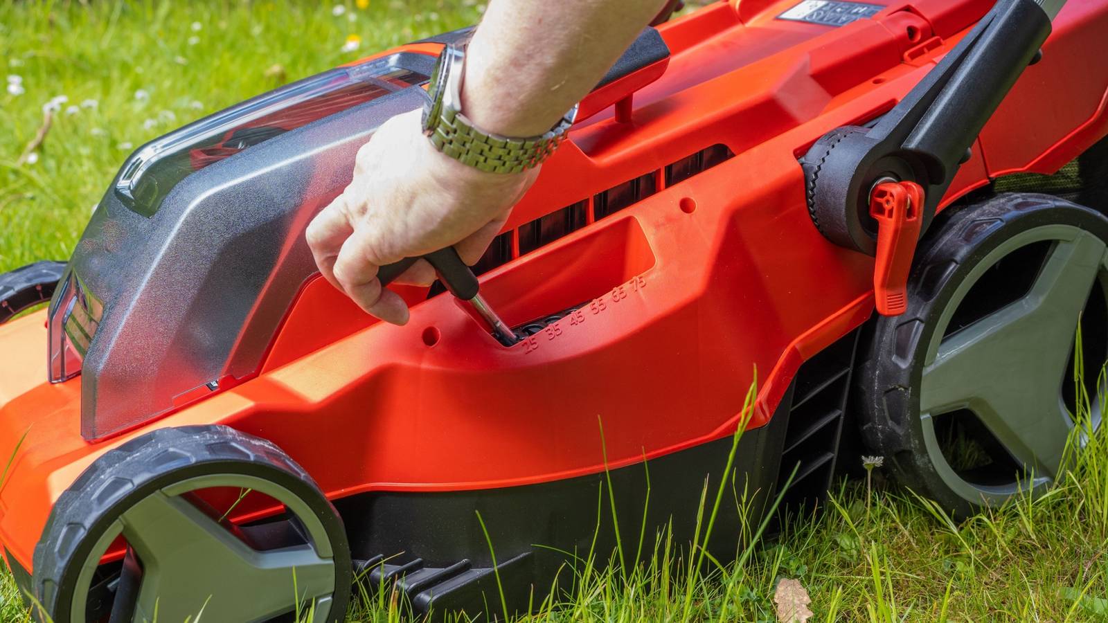 Learn How to Choose the Right Mowing Height