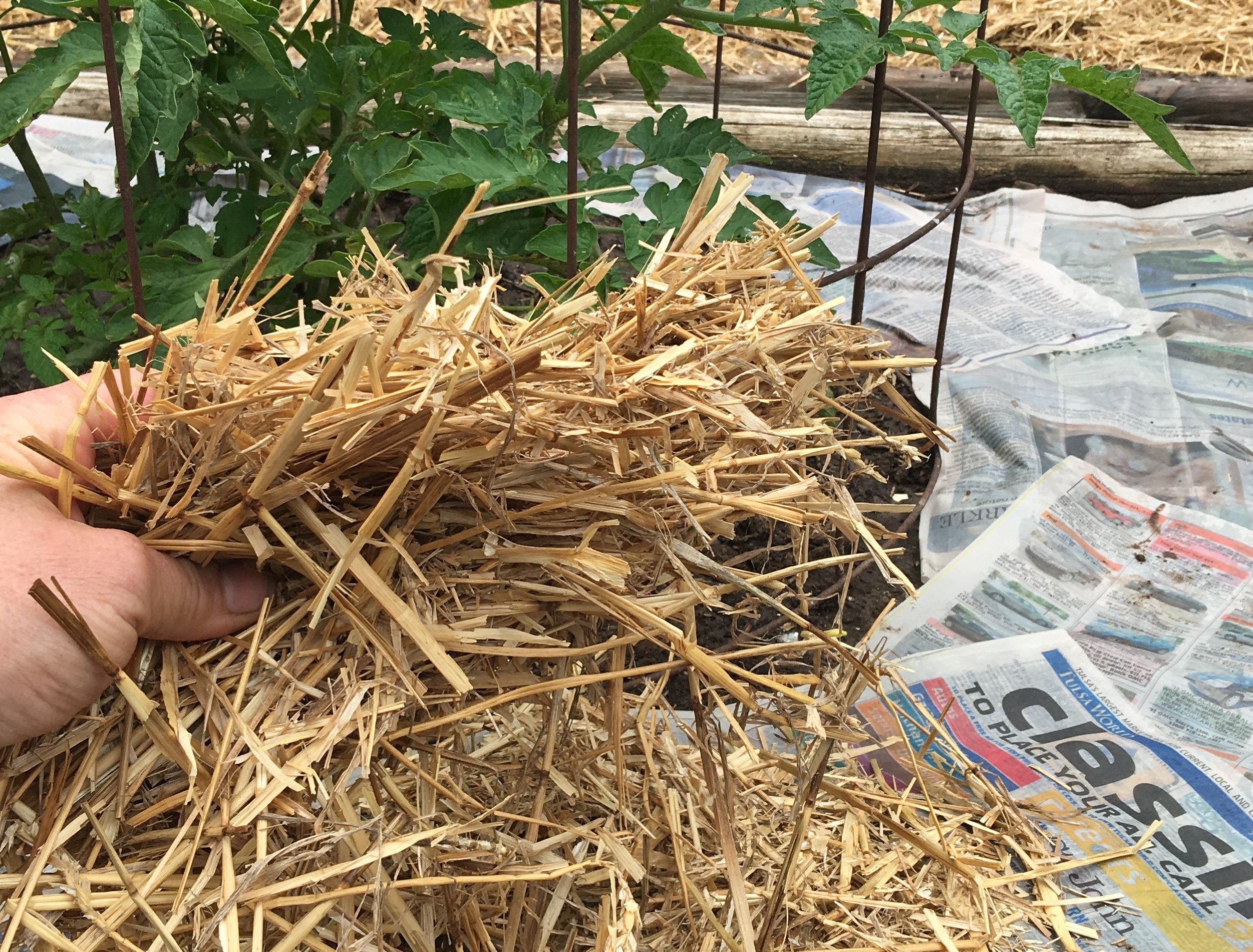 How to Use Newspaper to Prevent Weeds in Your Garden