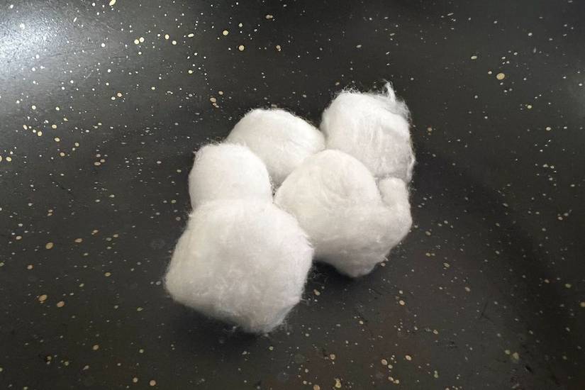 How to Germinate Seeds Using Cotton Balls