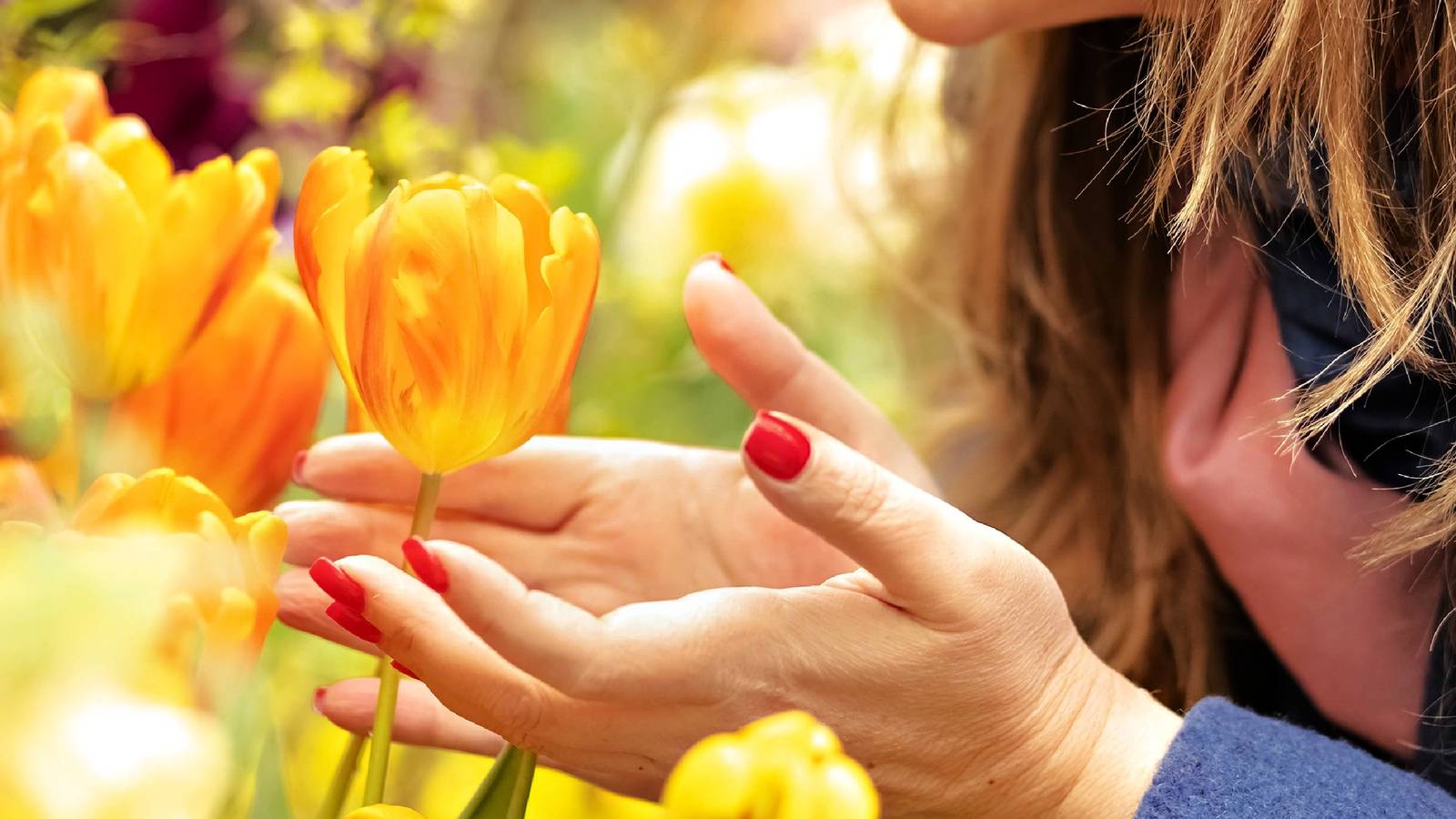 7 Best Allergy-Friendly Flowers to Grow in Your Garden