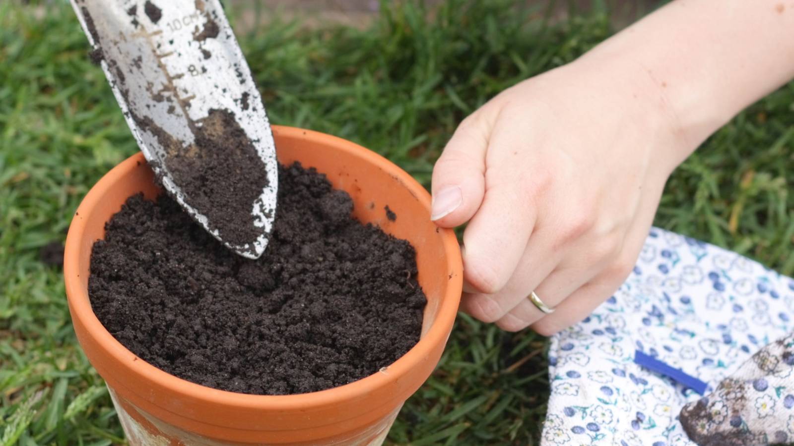 How to Reuse Potting Soil in Your Garden