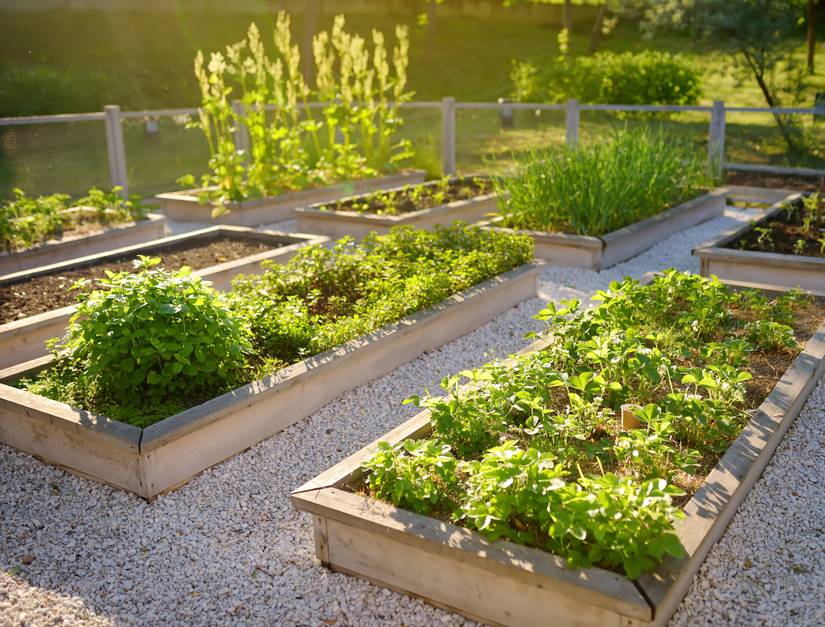 8 Naturalized Landscaping Ideas