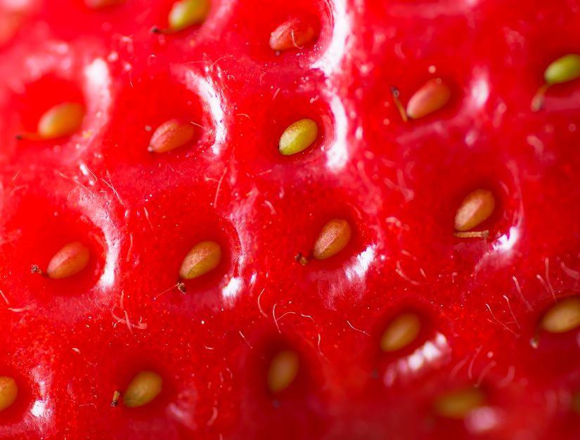 How to Grow Strawberries From Strawberries