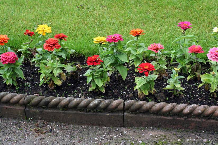 Creating Beautiful Borders: How to Edge Your Flower Beds