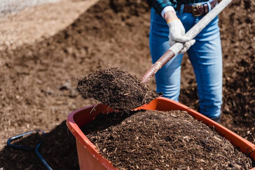 Transform Your Lawn with Potting Soil: Step-by-Step Seeding Guide
