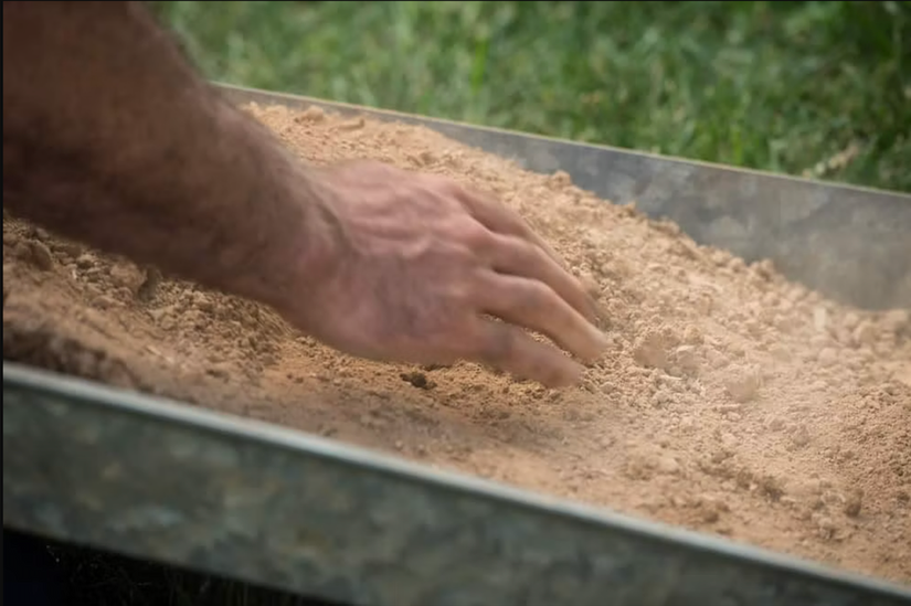 From Old to New: How to Rejuvenate Your Potting Soil