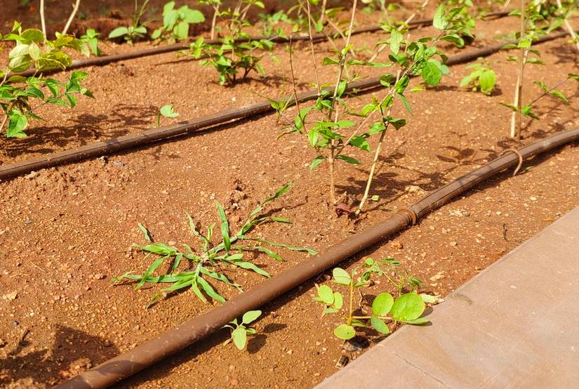 simple diy irrigation system