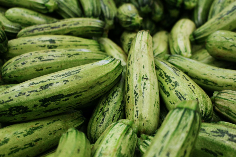 6 Types of Zucchini to Grow in Your Vegetable Garden
