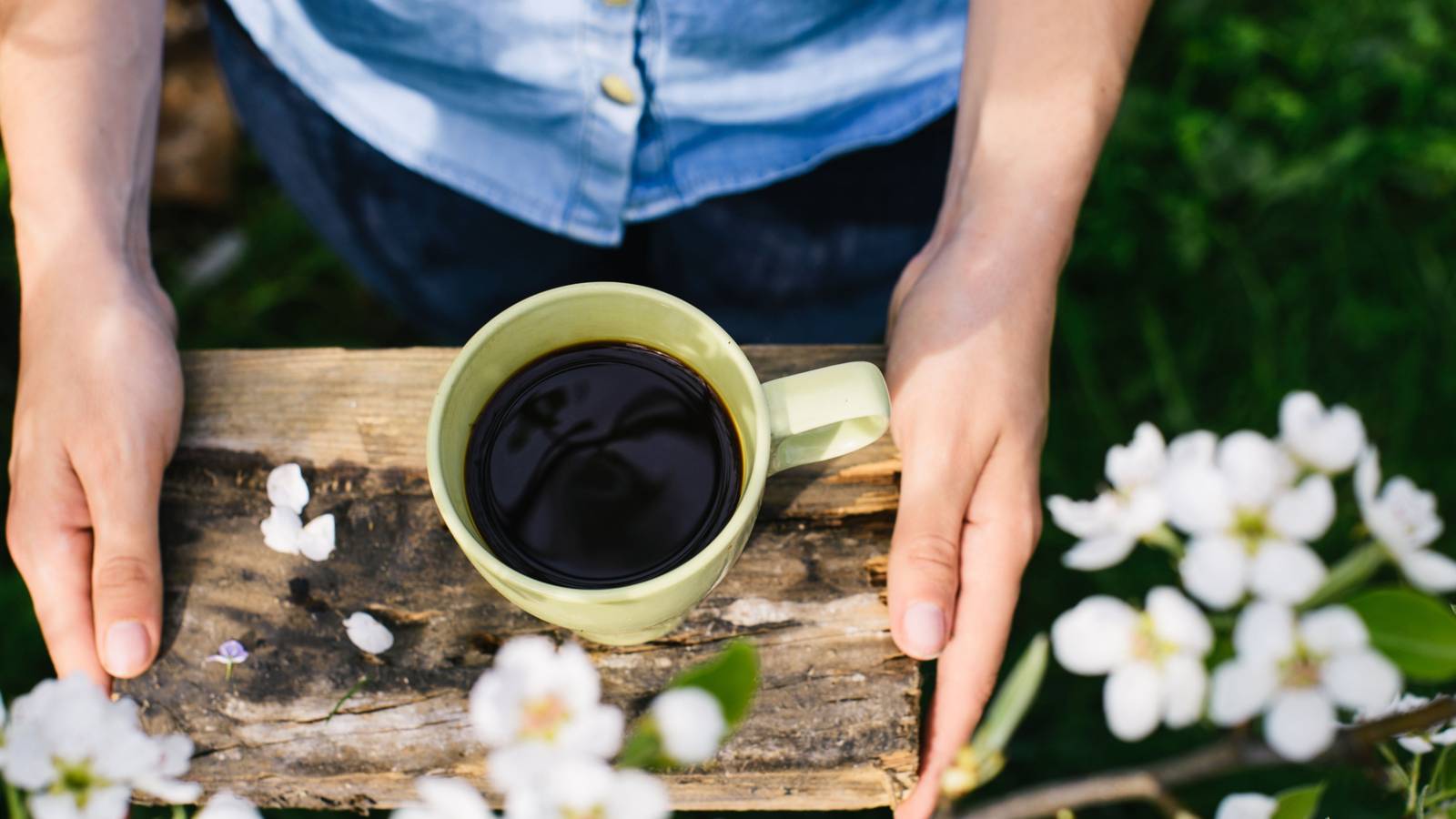Why You Should Use Coffee Grounds For Your Wildflowers