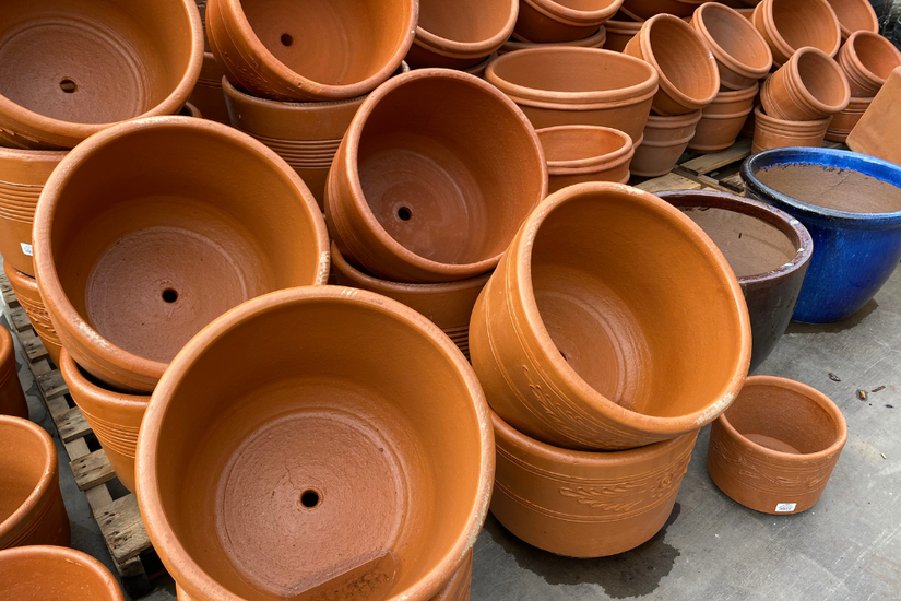 11 Tips for Growing Cherry Tomatoes in Pots