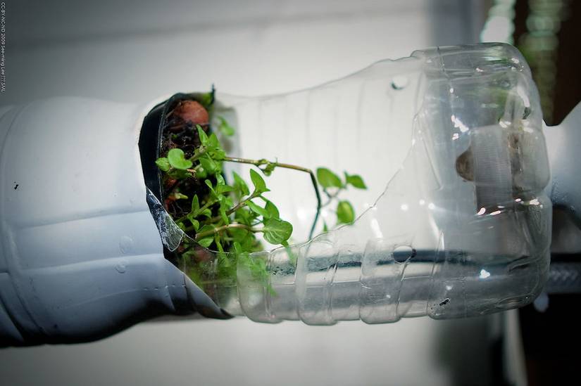 9 Ways To Use Plastic Containers in Your Garden