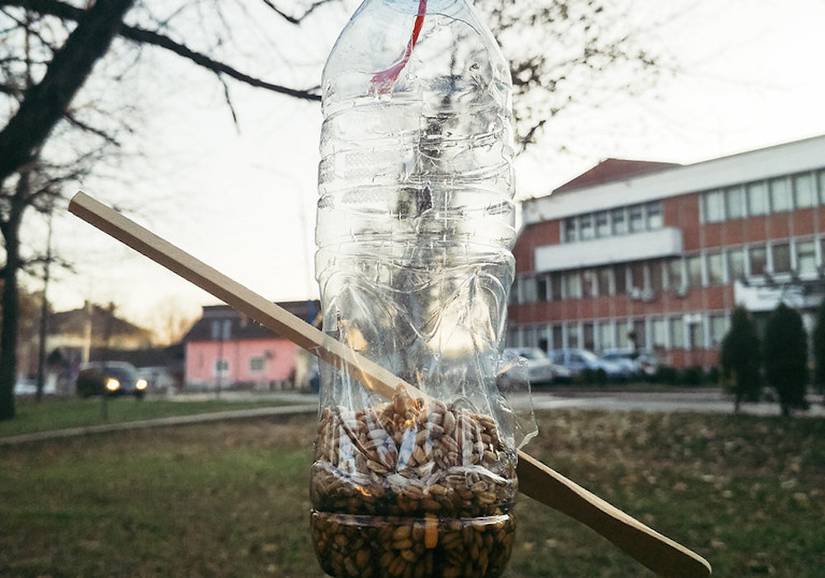 9 Ways To Use Plastic Containers in Your Garden