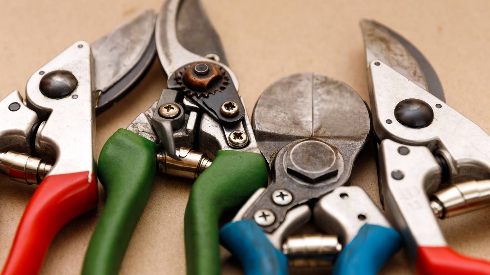 The 7 Best Garden Pruners of 2023