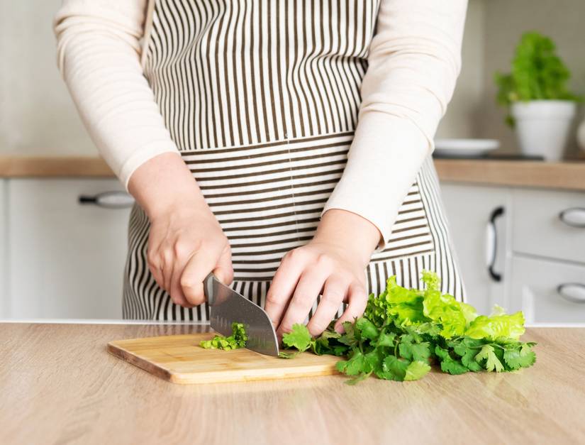 How to Harvest Cilantro