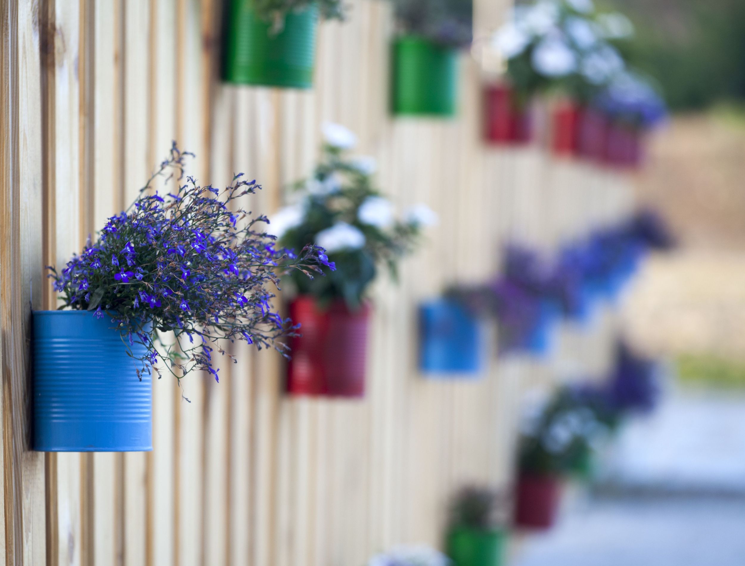10 DIY Fence Planters to Enhance Your Backyard