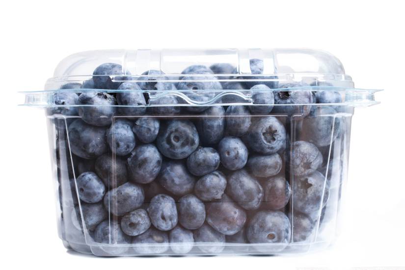How to Store Your Freshly Picked Blueberries