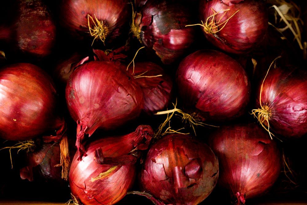 9 Tips For Harvesting Onions