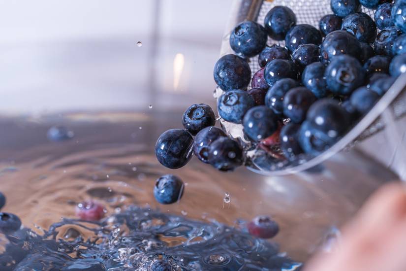 How to Store Your Freshly Picked Blueberries