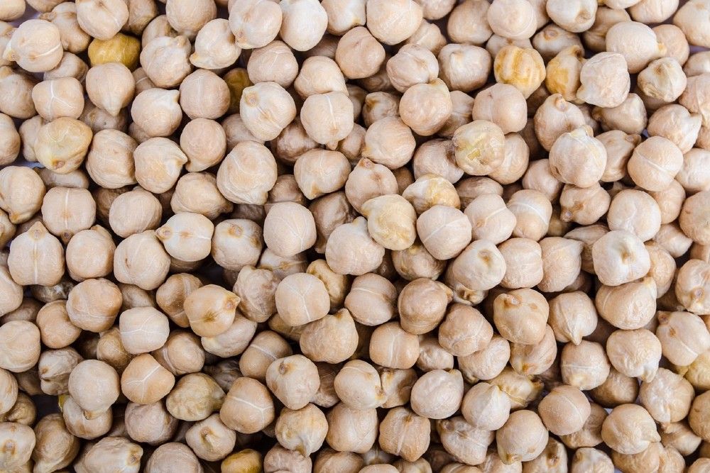How to Grow Chickpeas in Your Home Garden