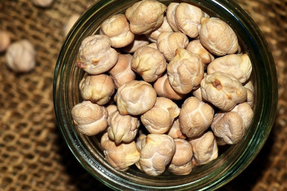 9 Tips For Growing Chickpeas in Containers