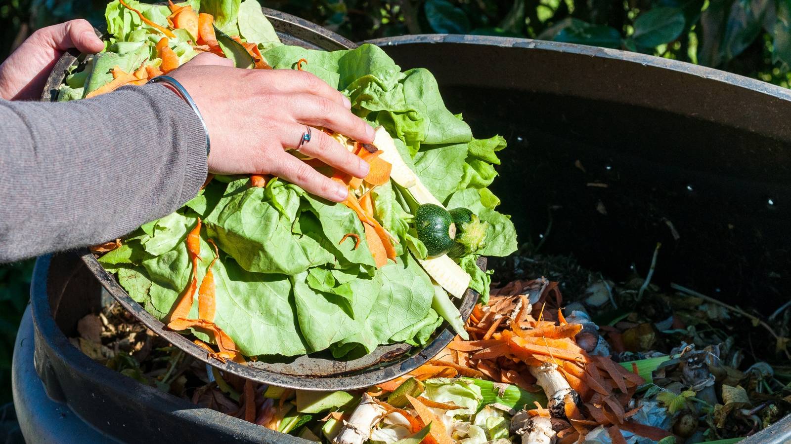 The Best Time to Start a Compost Pile