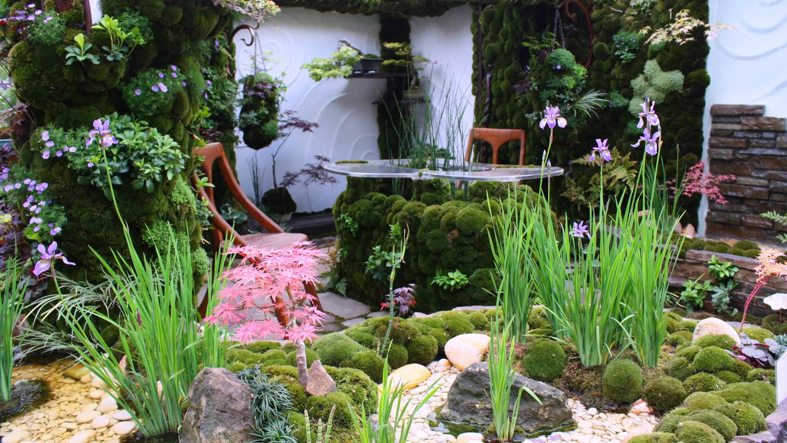 5 Types of Moss That Add Beauty to Your Garden