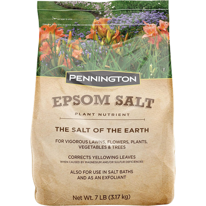 8 Best Organic Fertilizers For Spinach