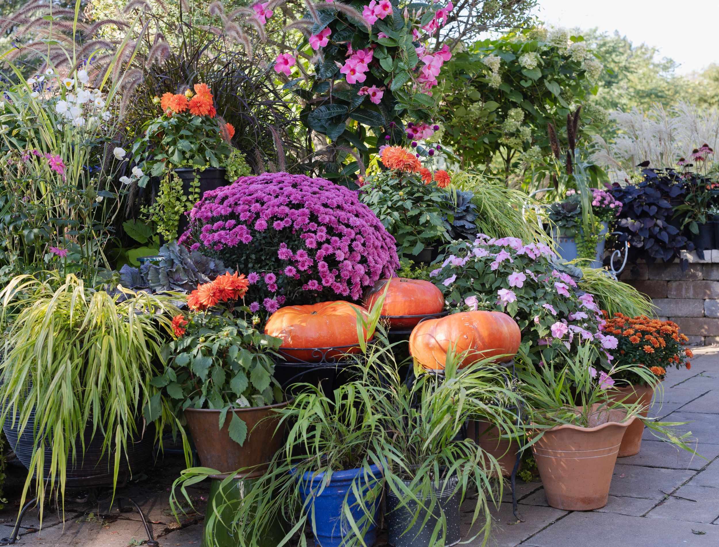 4 Fall Container Garden Ideas