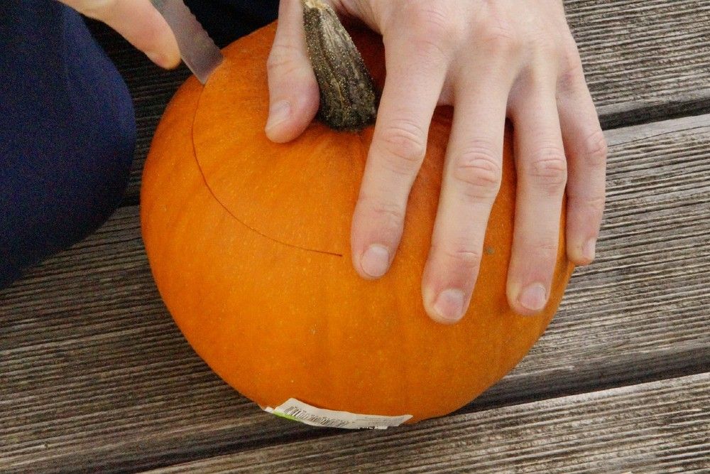 How to Harvest Pumpkin Seeds