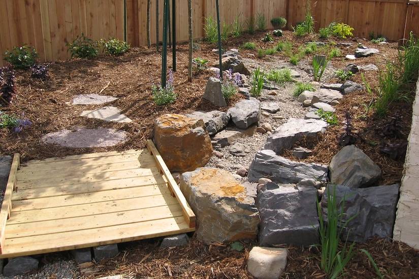 8 Naturalized Landscaping Ideas