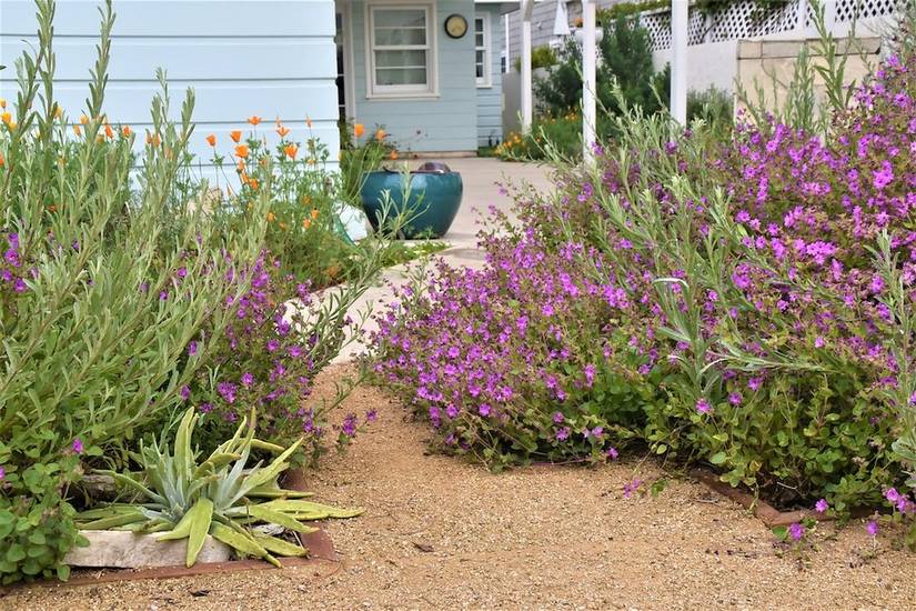 8 Naturalized Landscaping Ideas