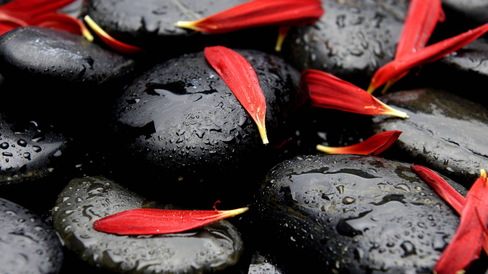 Best Black Landscaping Rocks in 2023