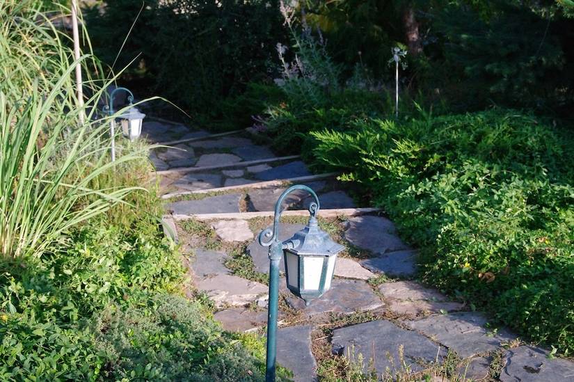 8 Naturalized Landscaping Ideas