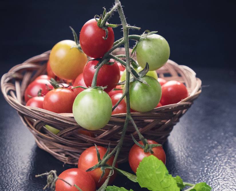 5 Ways to Protect Your Tomato Plants from the Cold