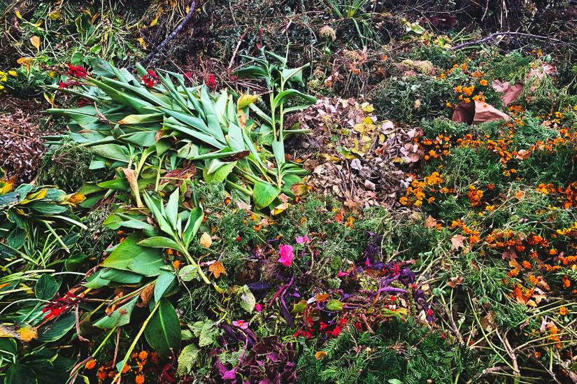 8 Ways to Get Free Rocks for Your Garden