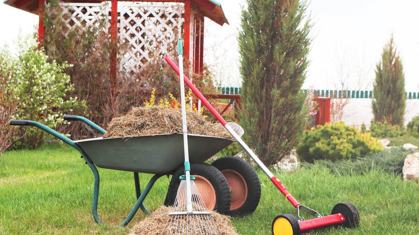 Dethatching Mistakes That Can Ruin Your Lawn